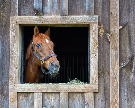 Two-Time Whitney Winner Commentator Dies at 24 - BloodHorse