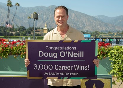 Hero Or Zero - Horse Profile - BloodHorse