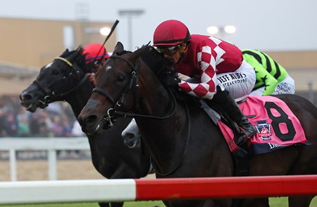 Dream On - Horse Profile - BloodHorse