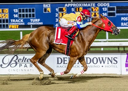 He's Just Lucky - Horse Profile - BloodHorse