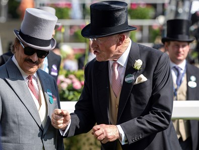 Field of Gold (IRE) - Horse Profile - BloodHorse