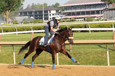 Baeza - Horse Profile - BloodHorse