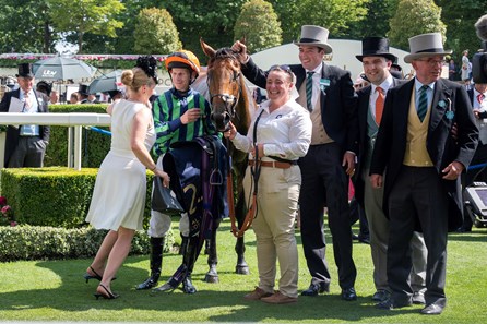 Time For Sandals (IRE) - Horse Profile - BloodHorse