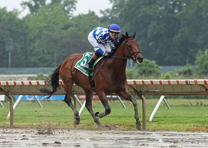 Bracket Buster - Horse Profile - BloodHorse