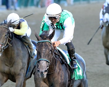 Purloin - Horse Profile - BloodHorse
