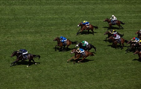 Charles Darwin (IRE) - Horse Profile - BloodHorse