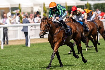 Time For Sandals (IRE) - Horse Profile - BloodHorse