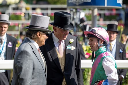 Field of Gold (IRE) - Horse Profile - BloodHorse