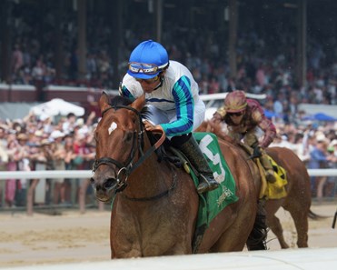 Book'em Danno - Horse Profile - BloodHorse