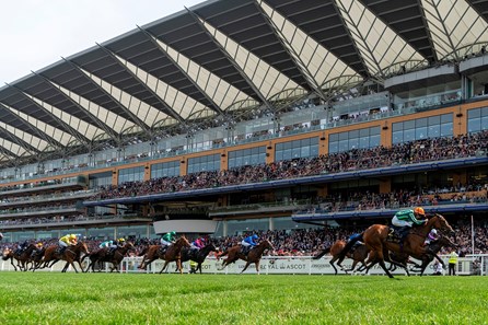 Time For Sandals (IRE) - Horse Profile - BloodHorse