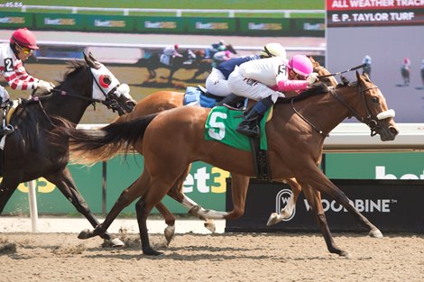 Border Czar is Beau Liam's First North American Winner - BloodHorse