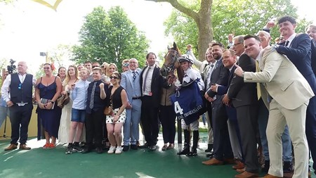 Shes Perfect (IRE) - Horse Profile - BloodHorse