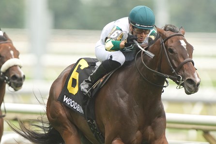 Love Cervere - Horse Profile - BloodHorse