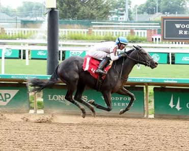 Jaboss - Horse Profile - BloodHorse