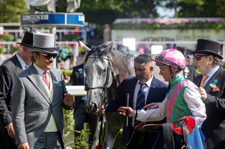 Field of Gold (IRE) - Horse Profile - BloodHorse