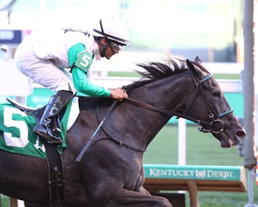 Purloin - Horse Profile - BloodHorse