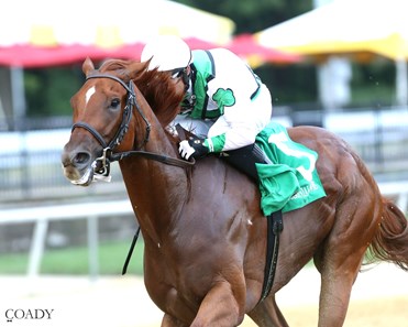 Showstopper Copper - Horse Profile - BloodHorse