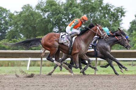 Journalism - Horse Profile - BloodHorse