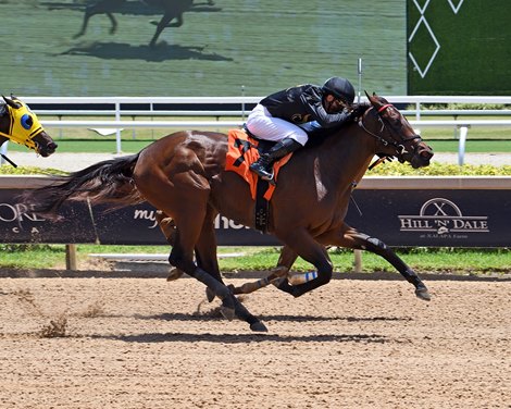 Nour Becomes First Winner for Walmac Sire Core Beliefs - BloodHorse