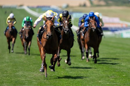 Orion's Belt (IRE) - Horse Profile - BloodHorse