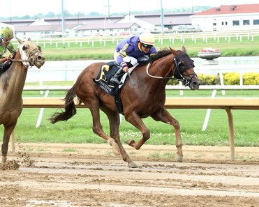 Skibidi Rizz - Horse Profile - BloodHorse