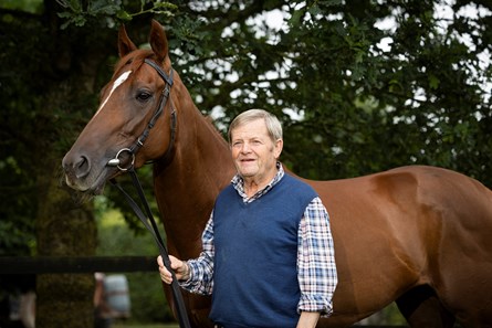 Cercene (IRE) - Horse Profile - BloodHorse