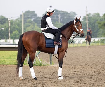 Journalism - Horse Profile - BloodHorse