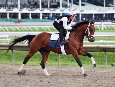 Journalism - Horse Profile - BloodHorse