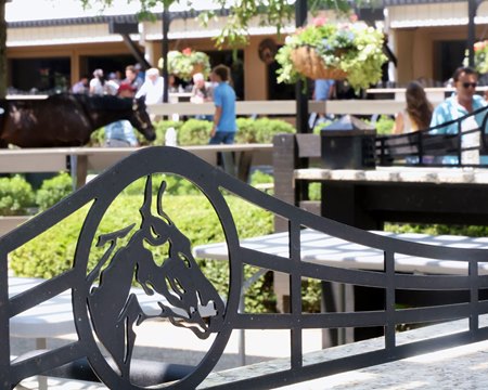 Prospective Pinhooks: Fasig-Tipton KY July Yearlings - BloodHorse