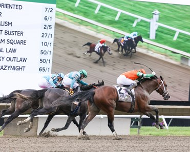 Journalism - Horse Profile - BloodHorse