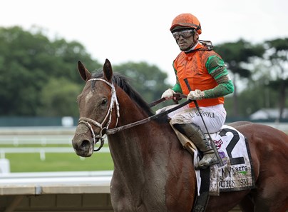 Journalism - Horse Profile - BloodHorse