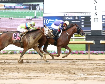 Skibidi Rizz - Horse Profile - BloodHorse