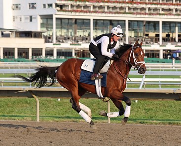 Journalism - Horse Profile - BloodHorse