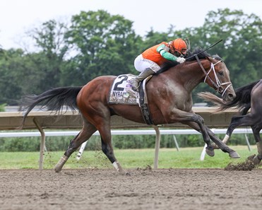 Journalism - Horse Profile - BloodHorse