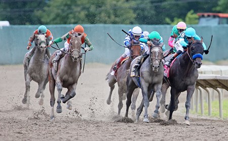 Journalism - Horse Profile - BloodHorse
