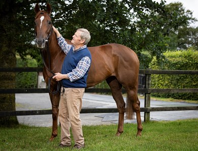 Cercene (IRE) - Horse Profile - BloodHorse