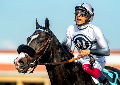 Almendares (GB) - Horse Profile - BloodHorse