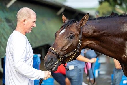 Journalism - Horse Profile - BloodHorse