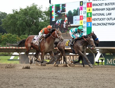 Journalism - Horse Profile - BloodHorse