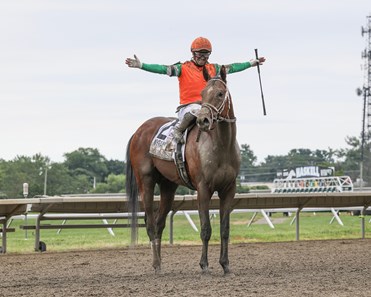 Journalism - Horse Profile - BloodHorse