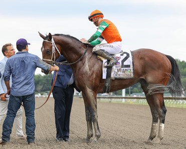 Journalism - Horse Profile - BloodHorse