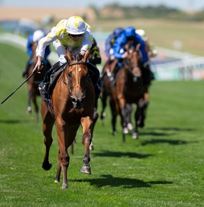 Orion's Belt (IRE) - Horse Profile - BloodHorse