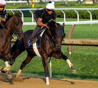 Sierra Leone - Horse Profile - BloodHorse