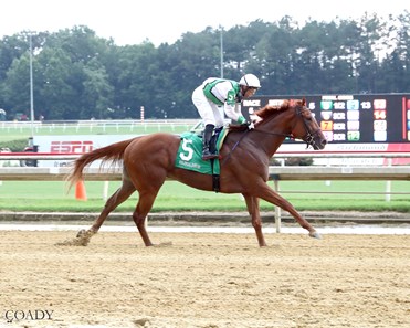 Showstopper Copper - Horse Profile - BloodHorse