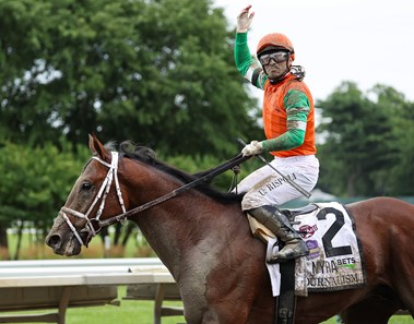 Journalism - Horse Profile - BloodHorse