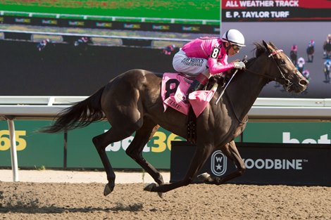 No Time Wins Woodbine Oaks in Memory of Boss Lady J - BloodHorse