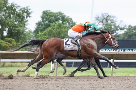 Journalism - Horse Profile - BloodHorse