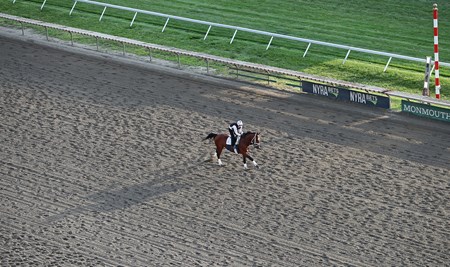 Journalism - Horse Profile - BloodHorse
