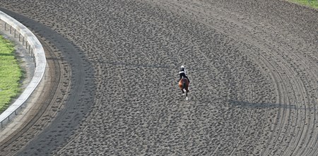 Journalism - Horse Profile - BloodHorse