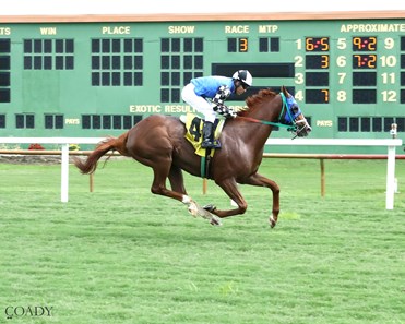 Tapit Shoes - Horse Profile - BloodHorse